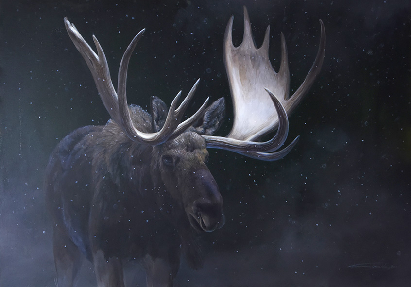 Snow Moose – The Natural World / Yoshihiro funada